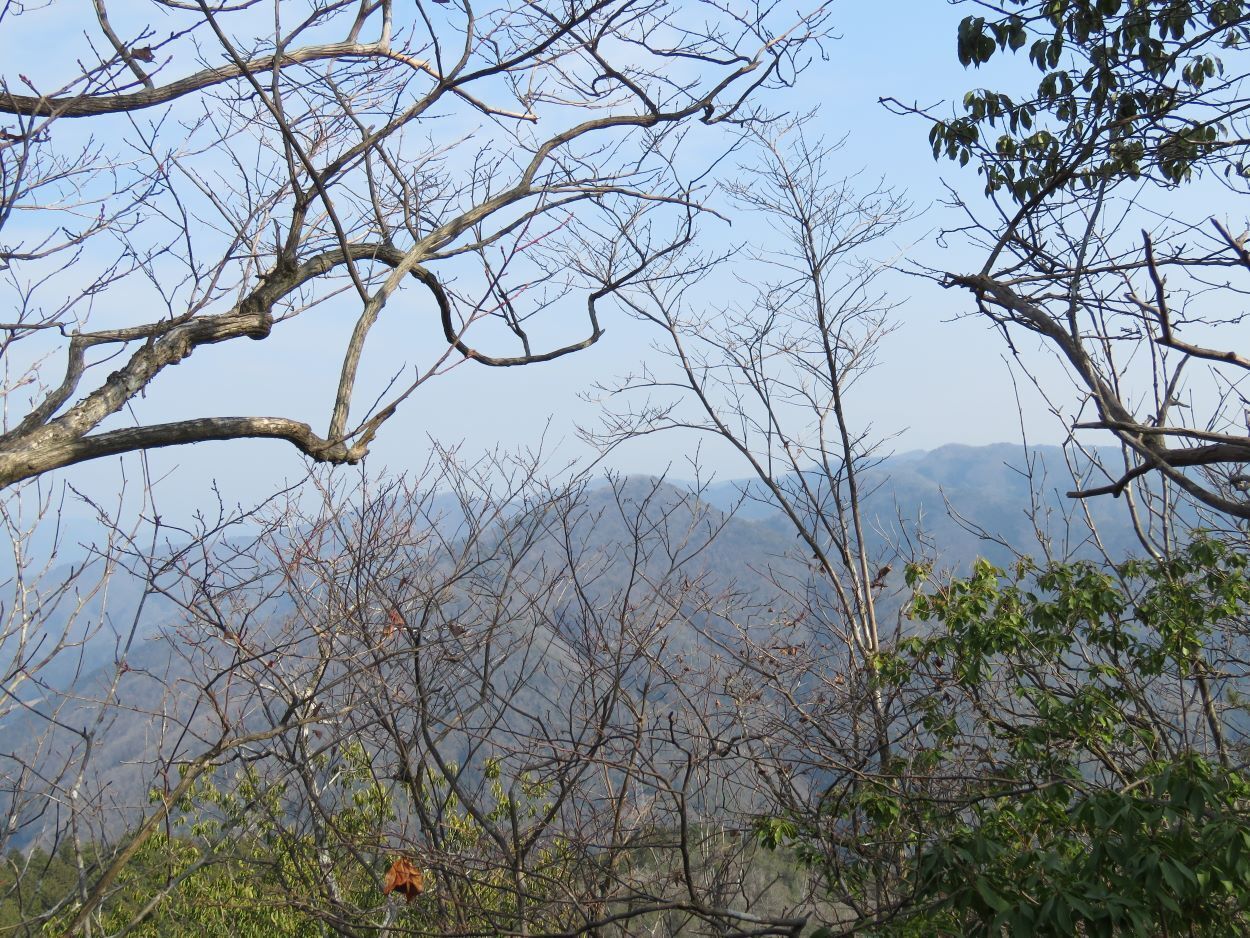 ちょこっと山歩き・丹波の「といし山」！: 山大好きの山ちゃん2