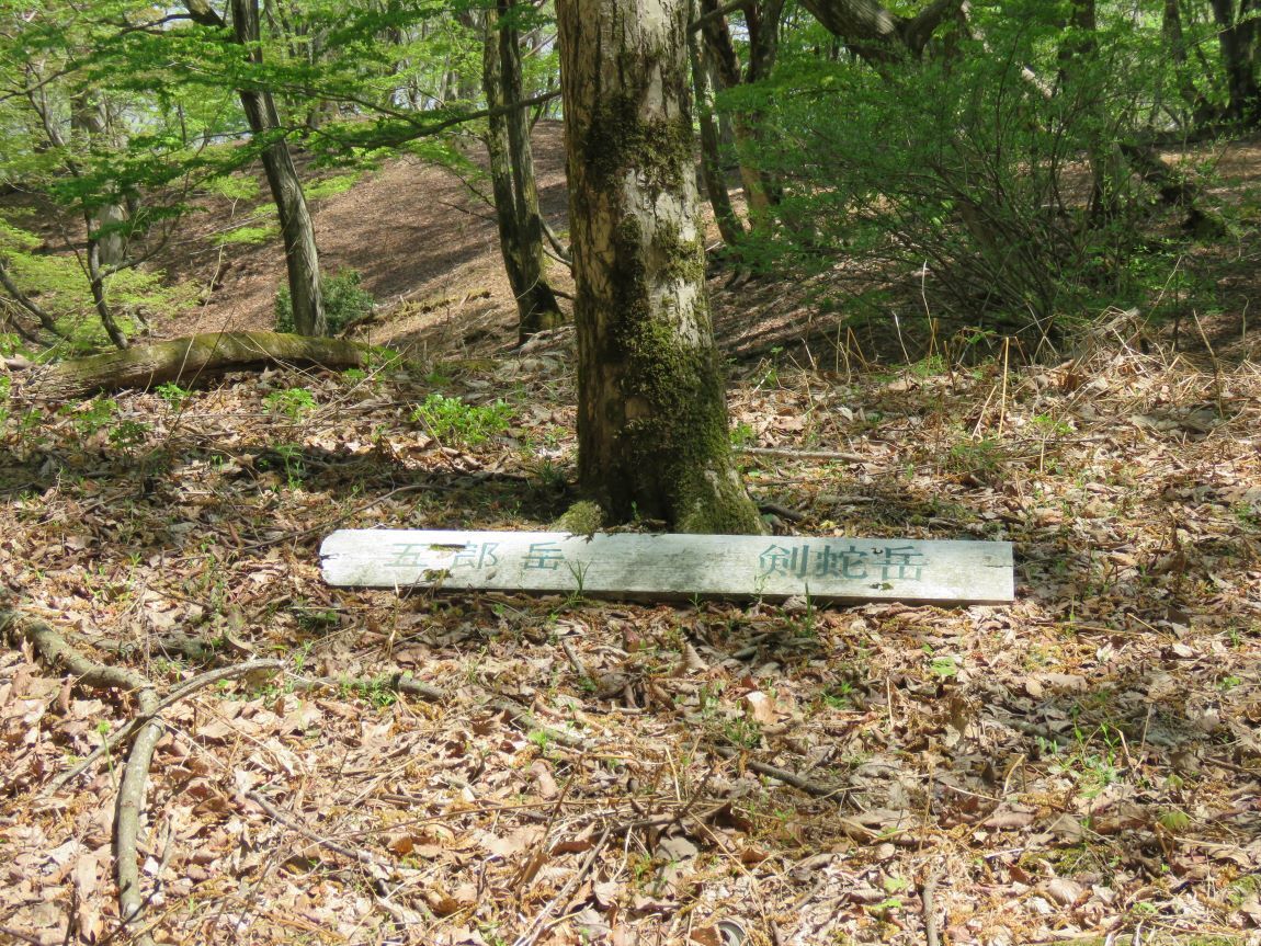 ちょこっと山歩き・北但馬の剣蛇ｹ岳と五郎岳！: 山大好きの山ちゃん2