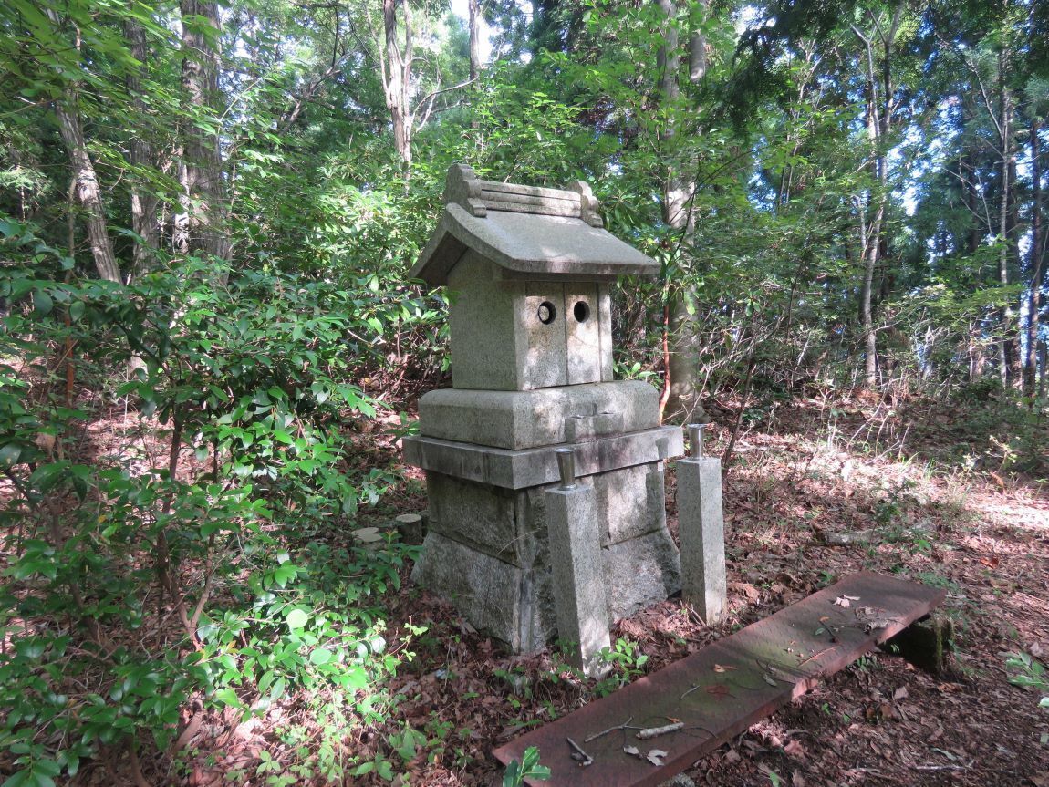 ちょこっと山歩き・今年も見頃だった南八ツのエゾスズラン！: 山大好きの山ちゃん2